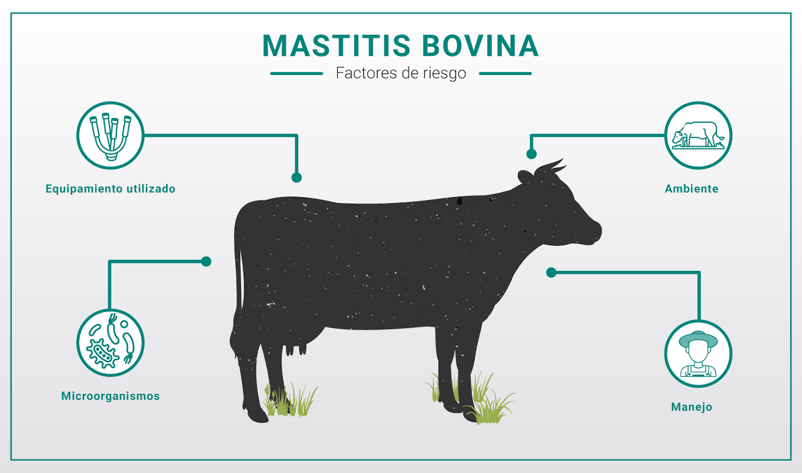 Impacto de la mastitis bovina en la calidad de la leche