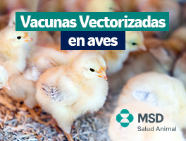 Vacunas vectorizadas en aves: ¿Qué son y qué ventajas tienen ...